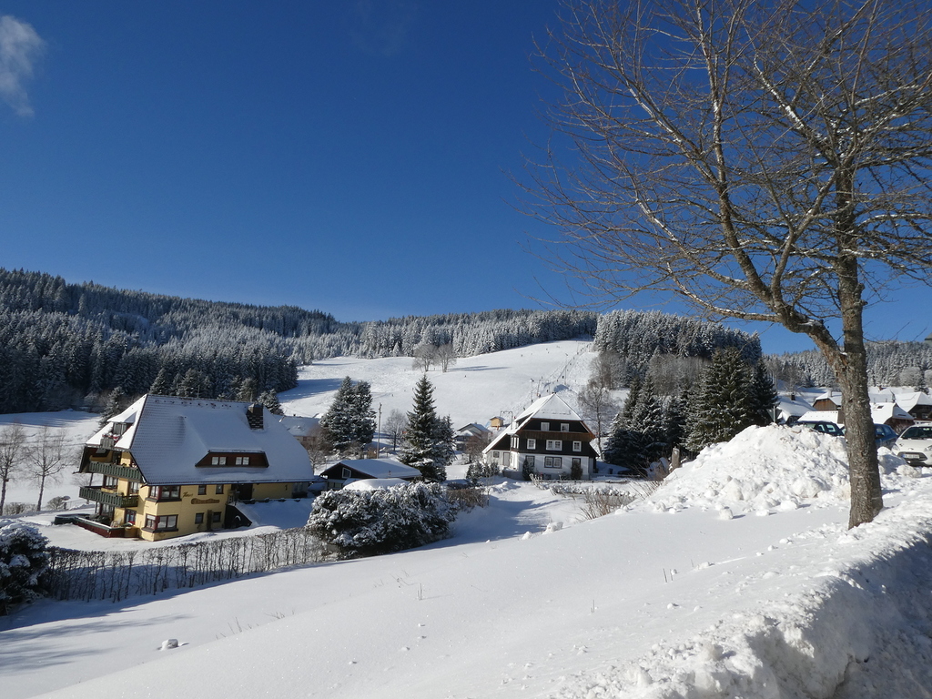 Summit and winter activation report: DM/BW-851, Winterwald (southern ...