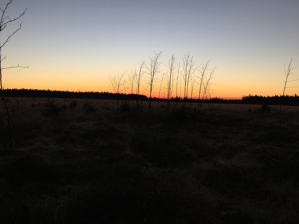 Wrong ref today ON/ON-006 by RBN - Issues/Errors - SOTA Reflector