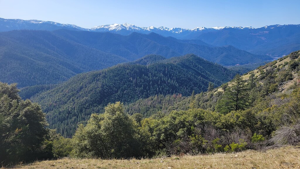 Correct Ref - Issues/Errors - SOTA Reflector