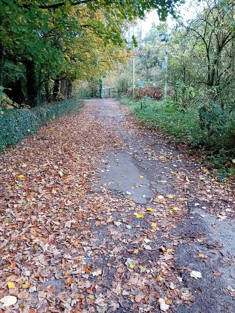 Finally, A Summit Activation - Activation Reports - SOTA Reflector