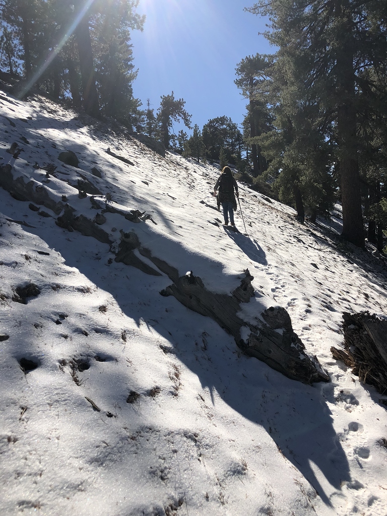 Through the Snow to Kratka Ridge - Activation Reports - SOTA Reflector