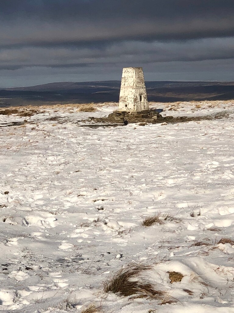 G/NP-009 Belted Galloways - Issues/Errors - SOTA Reflector