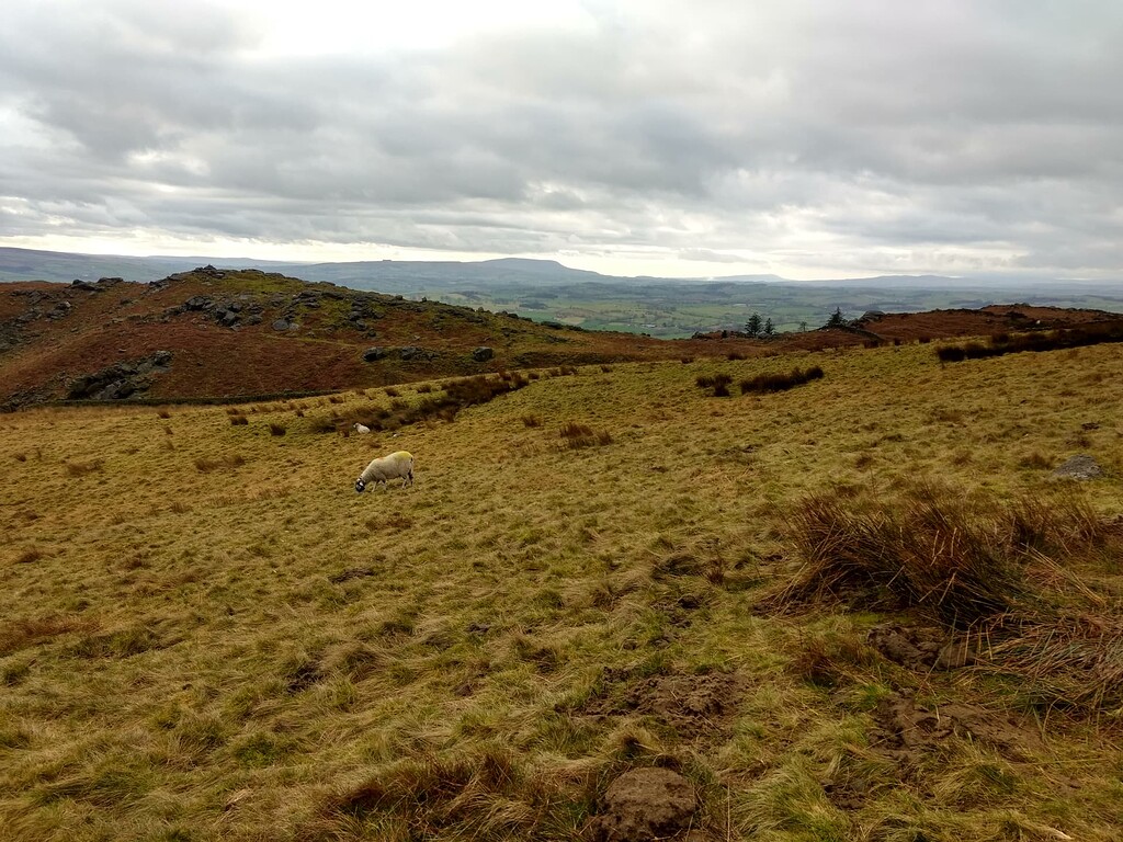 Sharp Haw G/NP-029 February 2022 - Activation Reports - SOTA Reflector