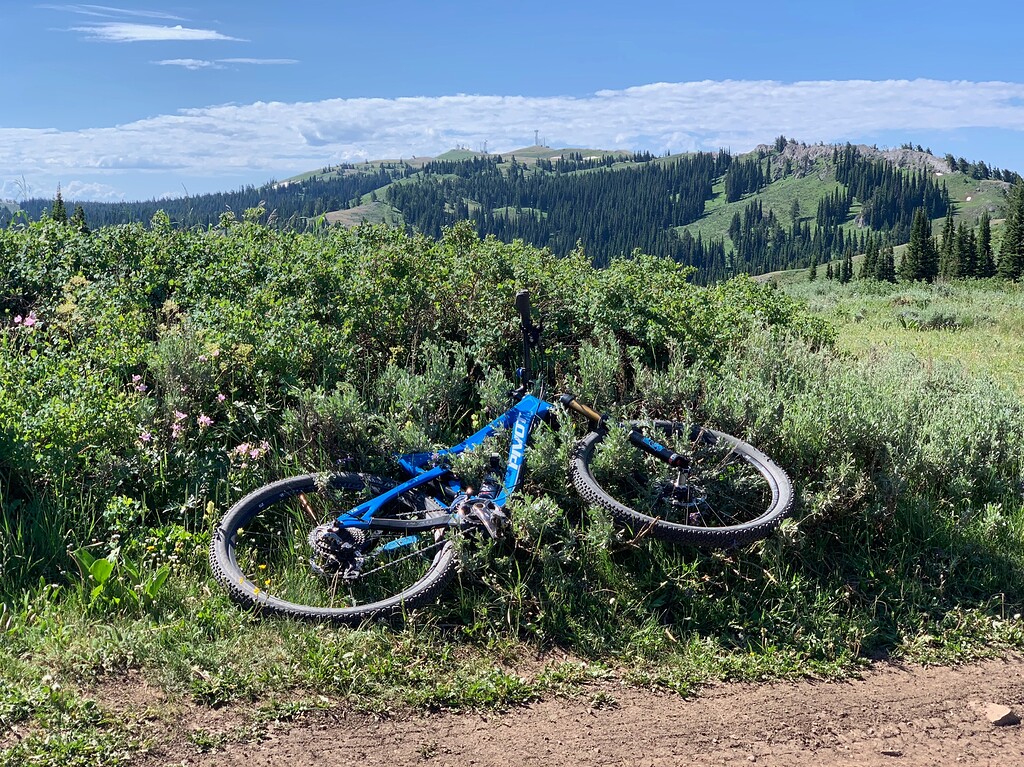 Ryan Peak / Relay Ridge Activation and Endurance Contest - Activation ...