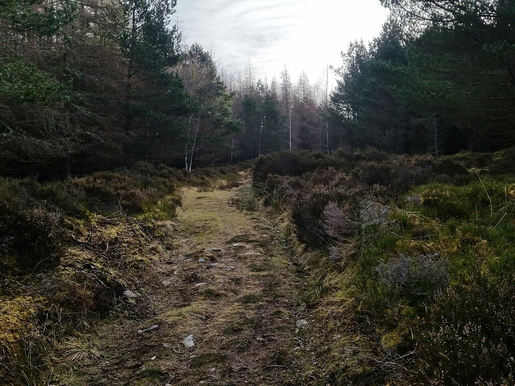 An eventful 3 days - Activation Reports - SOTA Reflector