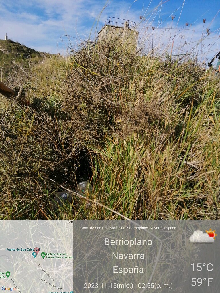 Tribute Guru Activation Reports Sota Reflector