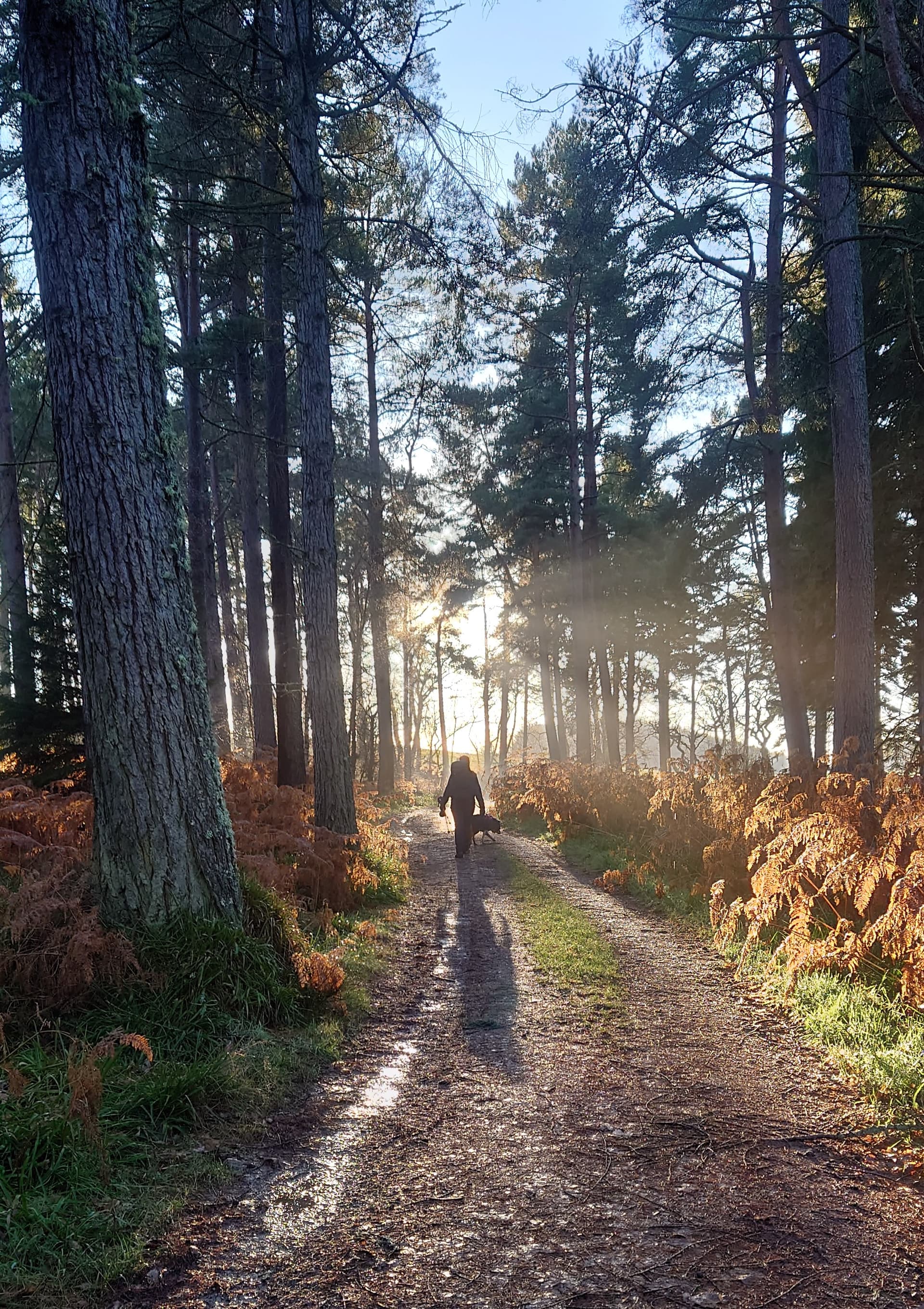 Bin there, done that.... - Activation Reports - SOTA Reflector