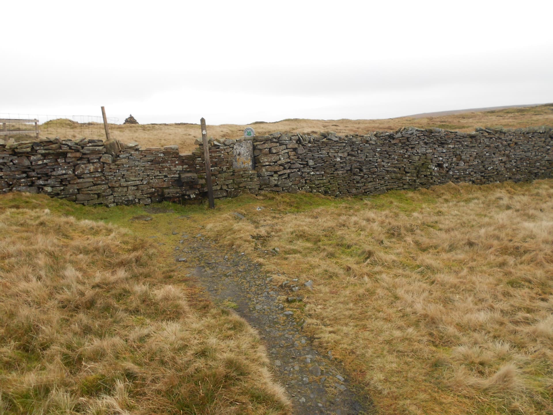 G4YSS:G/NP-017 Fountains Fell, 28-12-25 - Activation Reports - SOTA ...