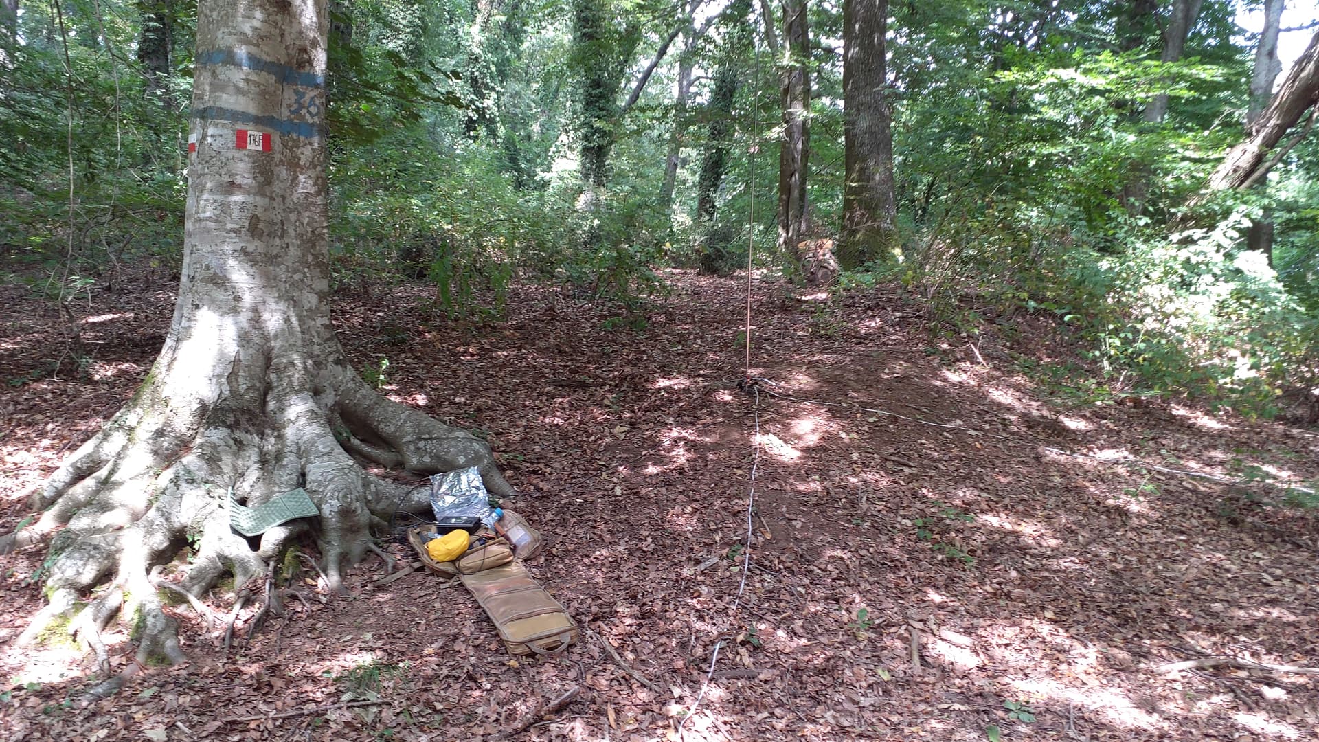 SOTA I-LZ-157 Monte Termine - Activation Reports - SOTA Reflector